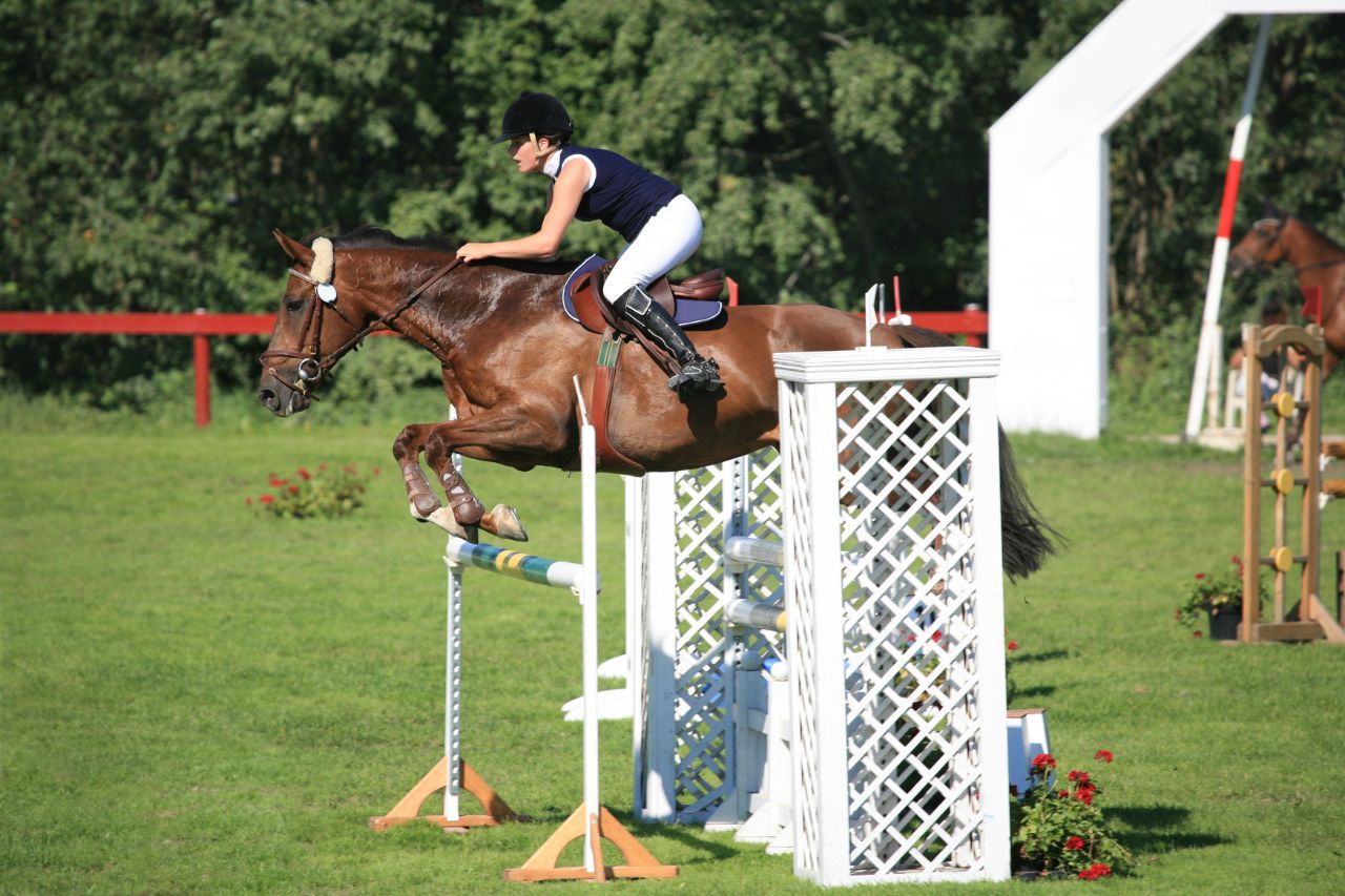 Springreihen sicher reiten: Ziele, Voraussetzungen und Aufbau